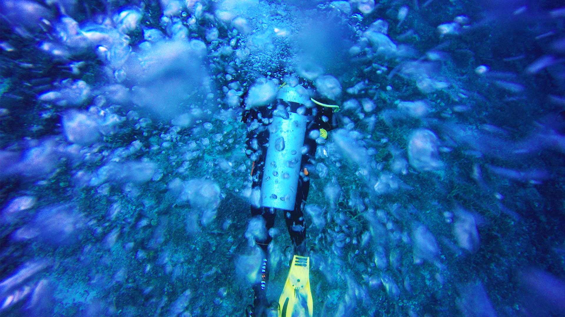Palawan Diving