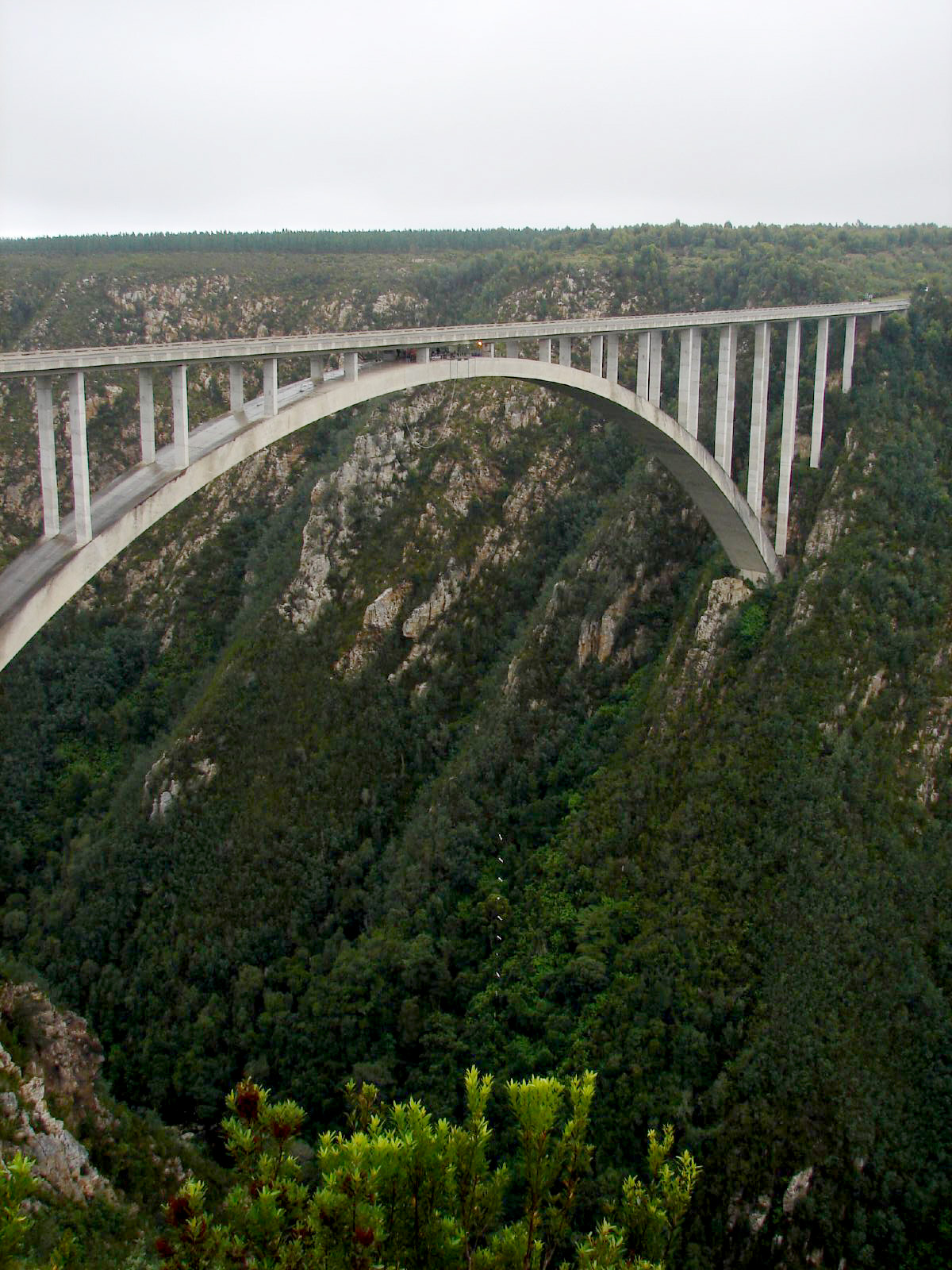 Our Bungee Failure in Plettenberg Bay - Travelationship